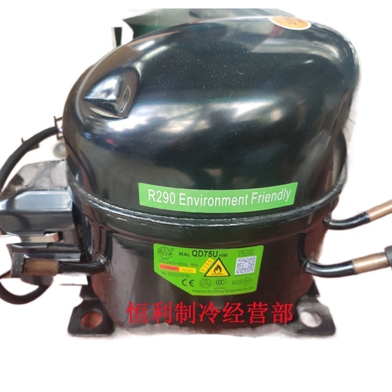 Original new neon refrigerator freezer compressor R290 refrigerant ...