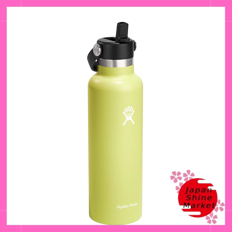 Hydro Flask Hydration 21 oz (621 ml) Standard Mouth Flex Straw Cactus ...