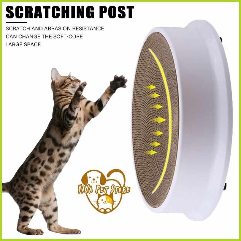 Large/a~Cat*kP?Scratcher*Ot?Claw*zS?Plate*eY?Sharpener*X?Corrugated*D ...