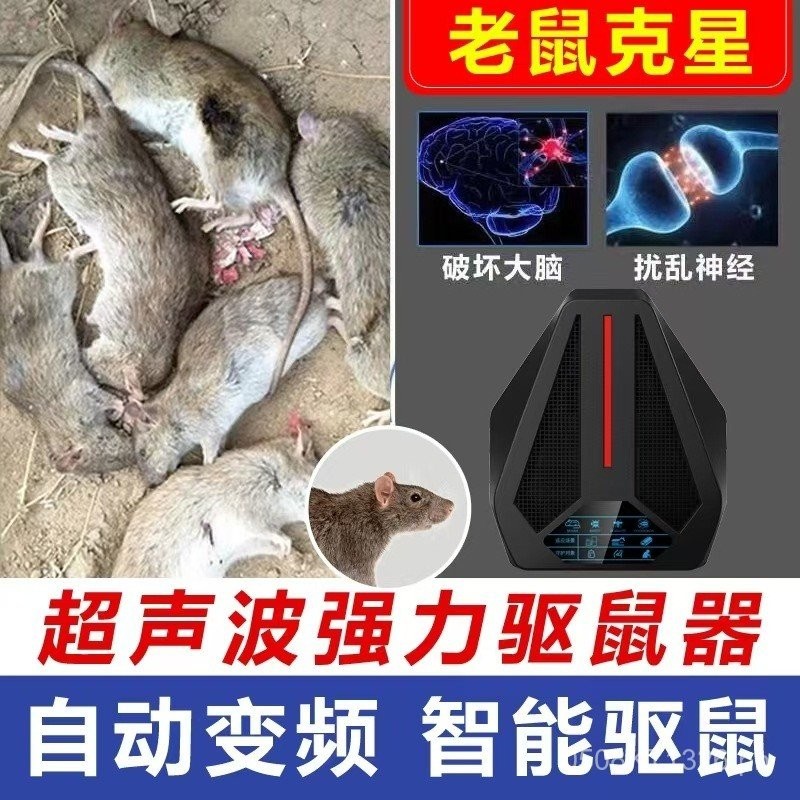 Ultrasonic Mouse Trap Mouse Repellent Device Electronic Cat Mouse ...