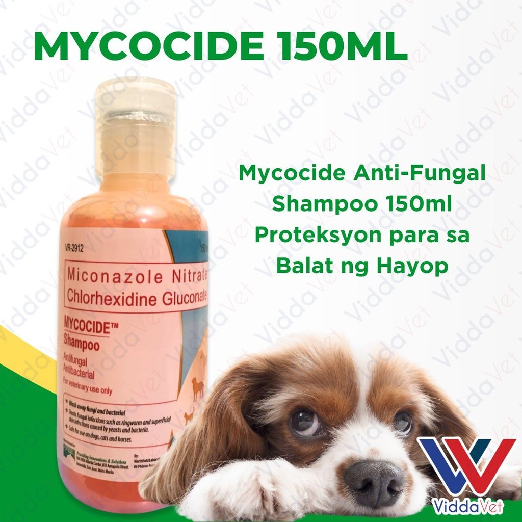 MYCOCIDE 150ml Antifungal Shampoo for Animals with Fungal Skin ...