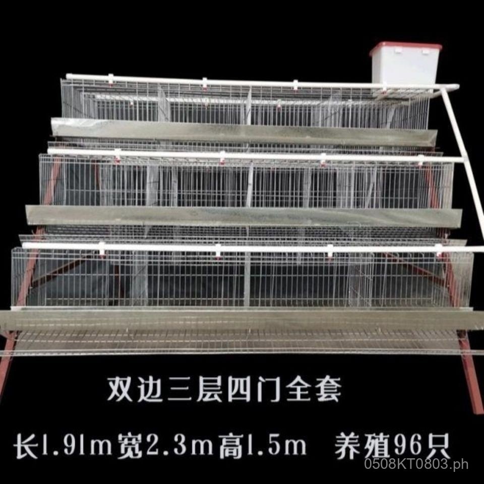 Three-Layer Egg Laying Chicken Cage, Stepped Egg Laying Chicken Cage ...