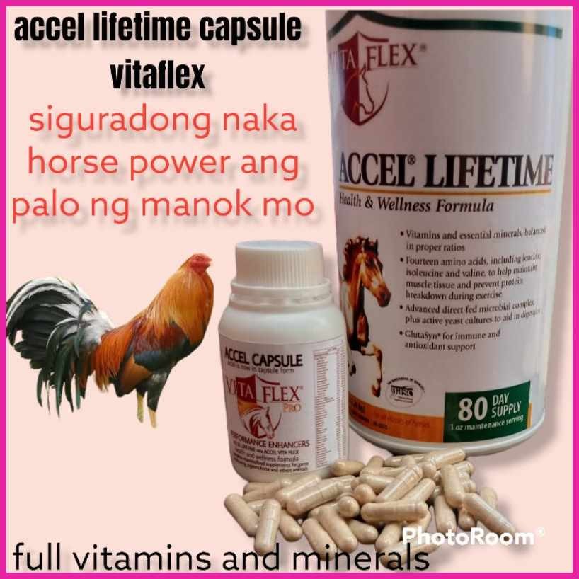 Accel.V$lifetime!j!capsule/vitaflex!z,pro!Q,for!Z,gamefowl/pigeons/etc ...