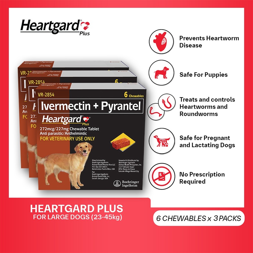 Heartgard Plus For Dogs (23-45 Kg) Treats & Controls Hookworms and ...