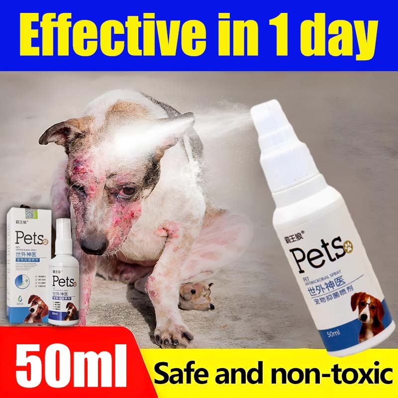 【Effective in 1 day】Pet skin fungus treatment spray Pet Skin Treatment ...