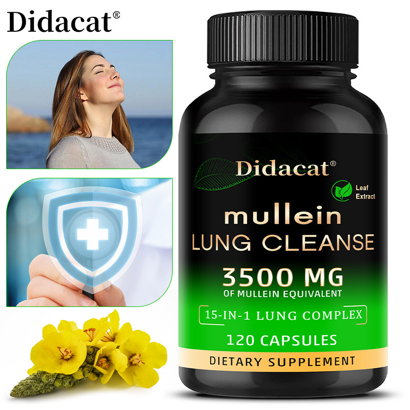 Didacat Mullein Lung Cleanse Supplement, Supports Lung Health, Supports ...