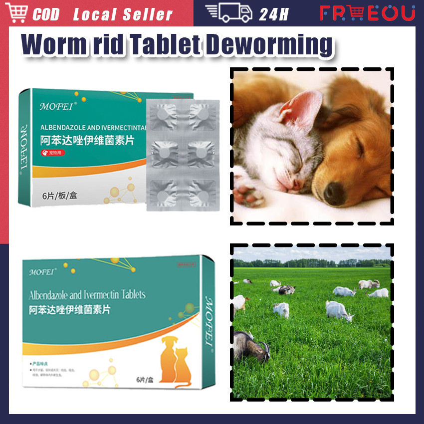 Dewormer Anti Tick and Flea 6Pcs/Box Ivermectin Tablet for Large Dog ...