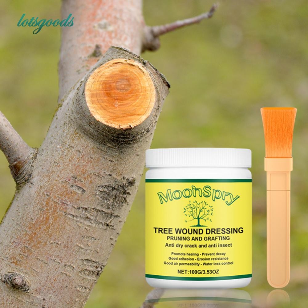 100g Tree Wound Bonsai Cut Paste with Brush Plant Cut Paste Pruning ...