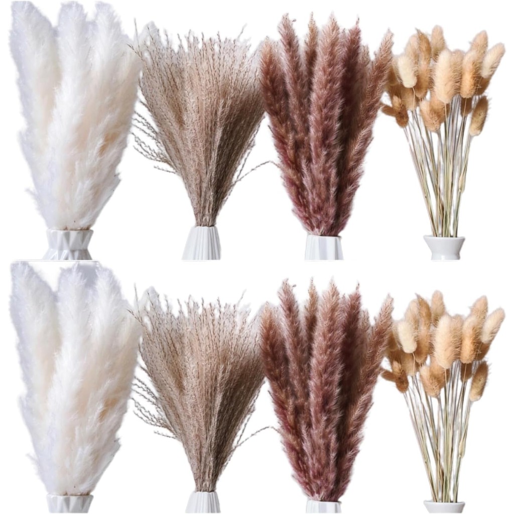 Dried Pampas Grass Decor Natural Brown & White Pampas Grass Bunny Tails ...