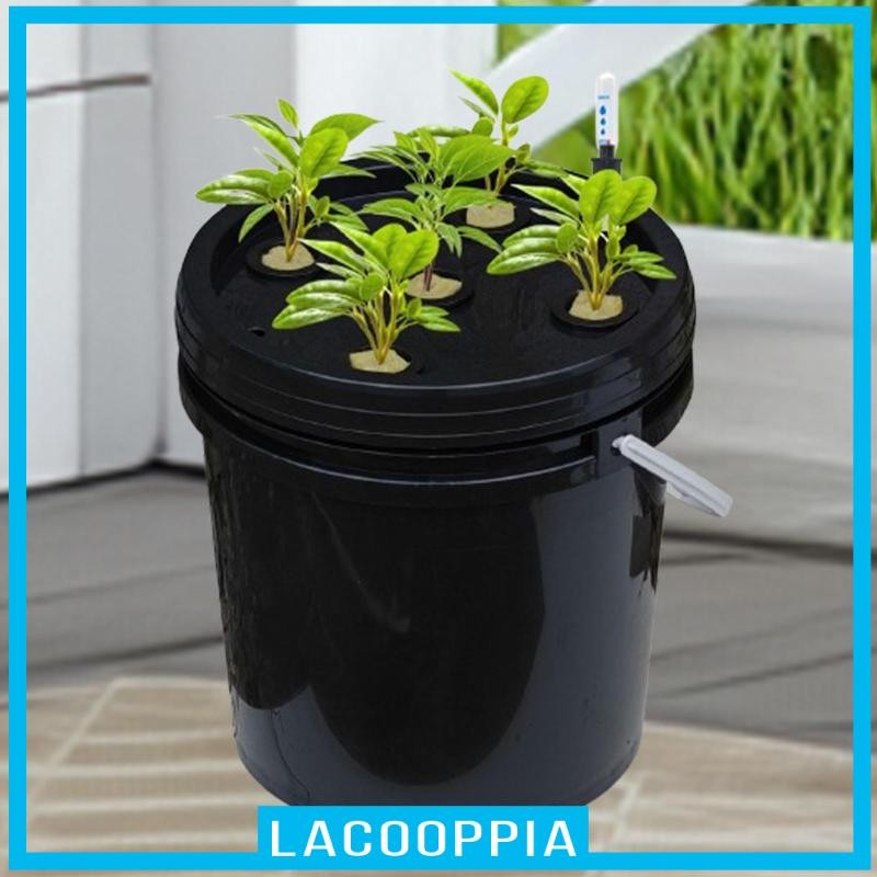 [ Dwc Hydroponics Deep Water Culture System Garden for Courtyard ...