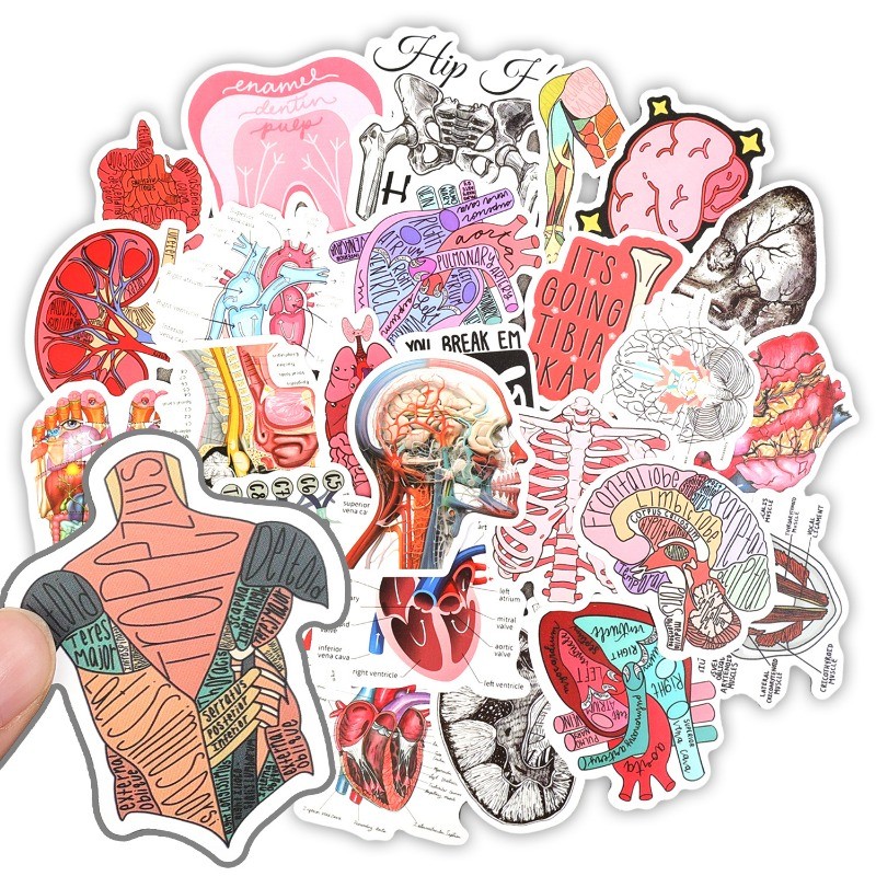 53Pcs/Set Creative Anatomy-themed Stickers DIY Human Anatomy Pattern ...
