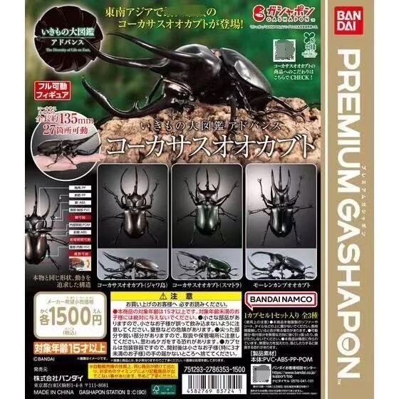 [BTF]Spot Goods BANDAI Capsule toy Biological Encyclopedia Atlas beetle ...