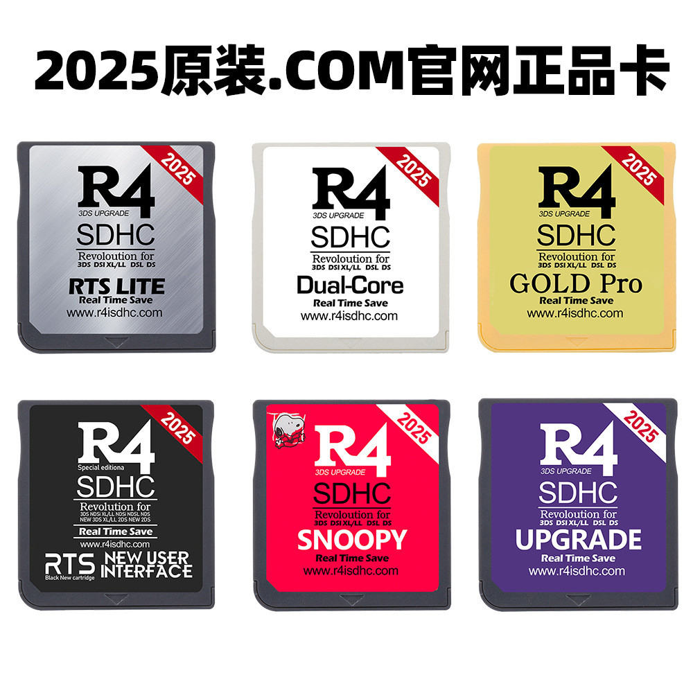 2025 Version NDS Game Card Instant Archive 2024 New English Golden ...