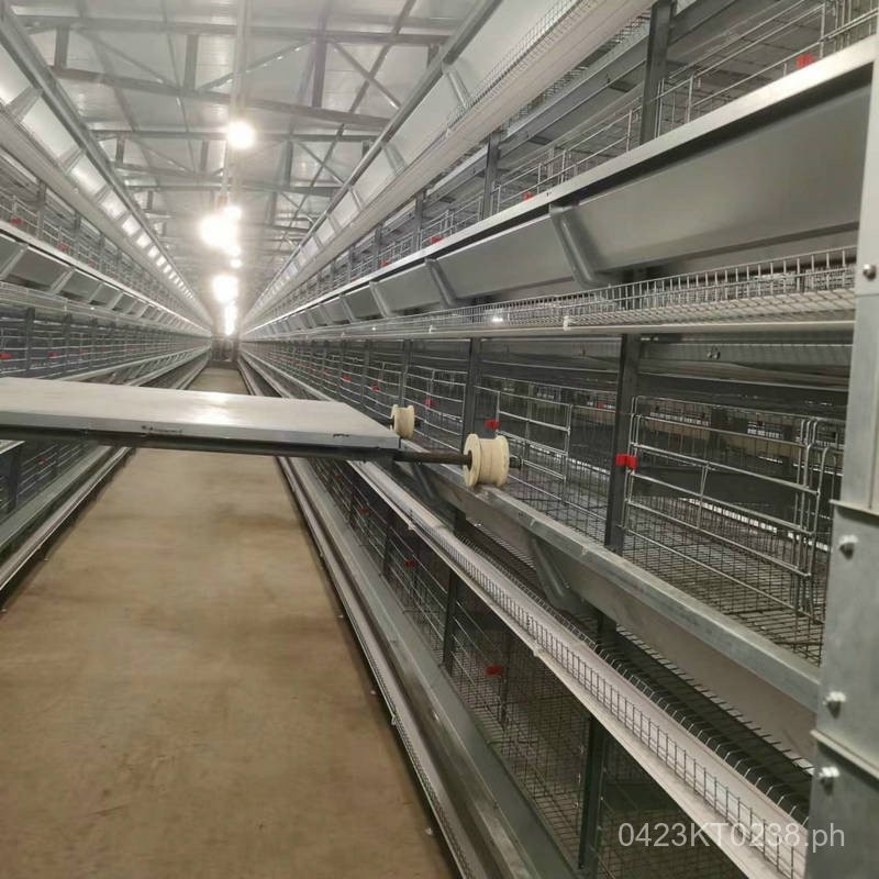 Breeding Factory Automatic Chicken Coop Hot-Dip Galvanized Large Layer ...
