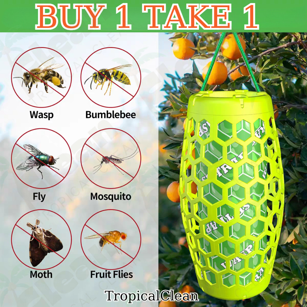 Fruit Fly Catcher Sticky Trap Outdoor Wasp Bee Sticky Trap Outdoor ...