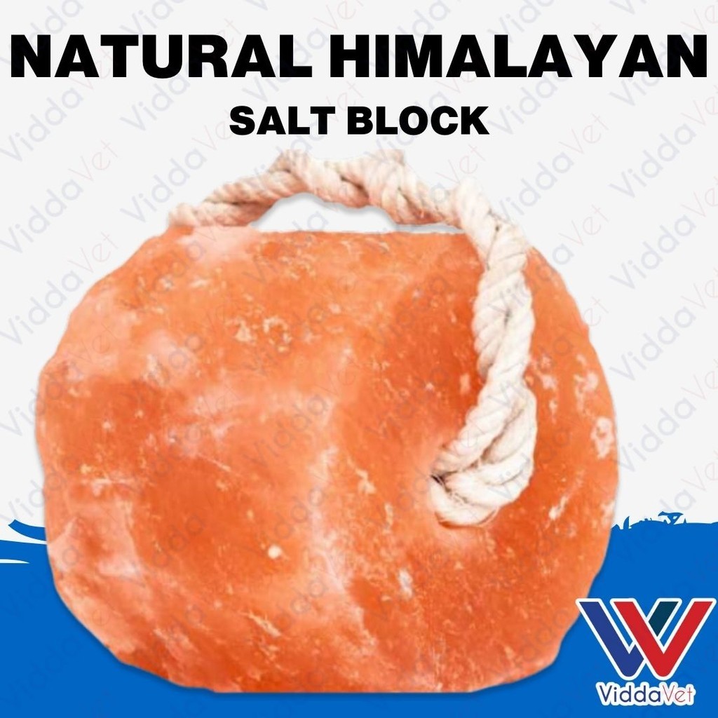 Himalayan Salt 1.4kg for Cows, Goats, and Livestock | Shopee Philippines