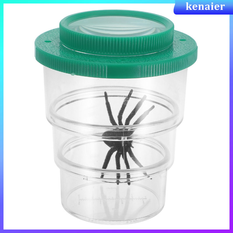 Insect Feeding Case Display Critter Container Butterfly Kits with Live ...