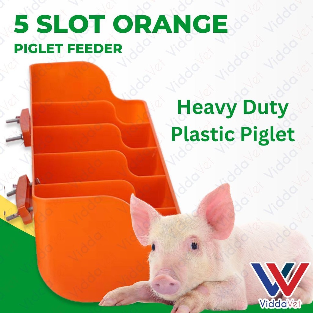 Orange 5 Slot Feeder Para sa Mas Malusog na Pagpapakain ng mga Hayop ...