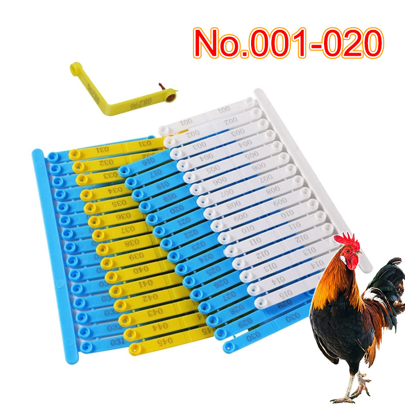 20Pcs Wingband Chicken wings Identification ring Identification tag for ...