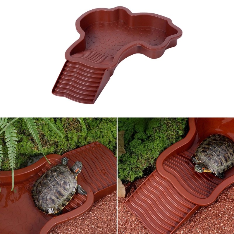 Quen Turtles Bathing Pool Water Bowl With Slip Proof and Friendly ...