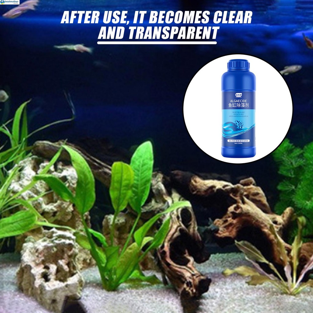 Algae Remover Fish Tank Quick Clear Moss Green Water and Algae Healthy ...
