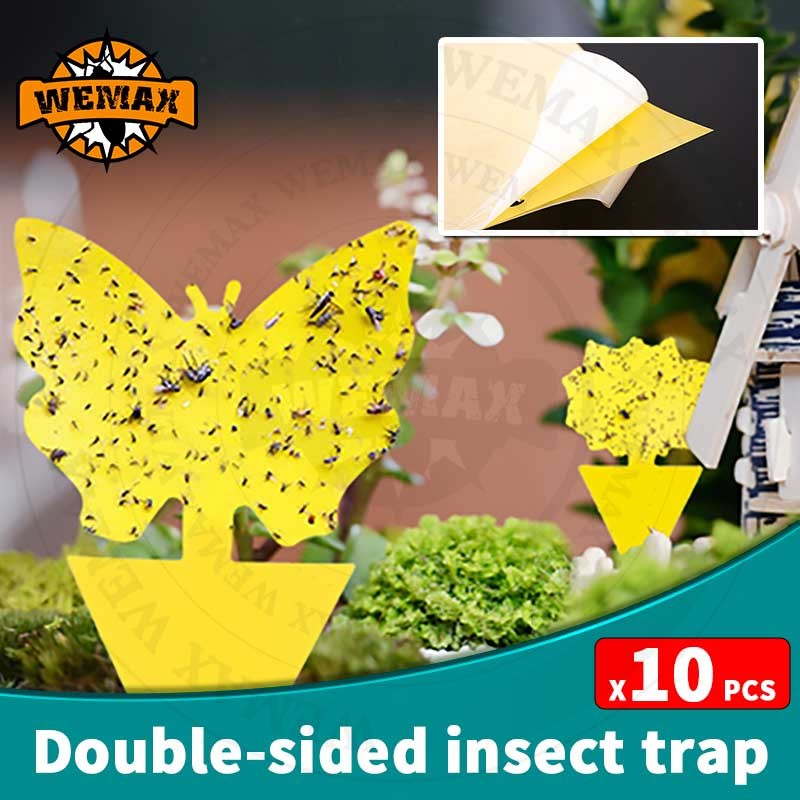 Strong Flies Sticky Traps Double-Sided Bugs Fly Catcher Paper Garden ...
