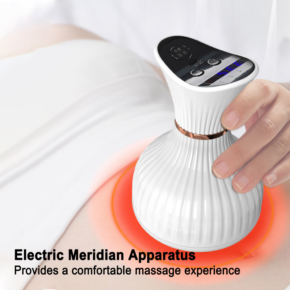 [Laicee.ph] Electric Meridian Brush Full Body Massager Scraping ...