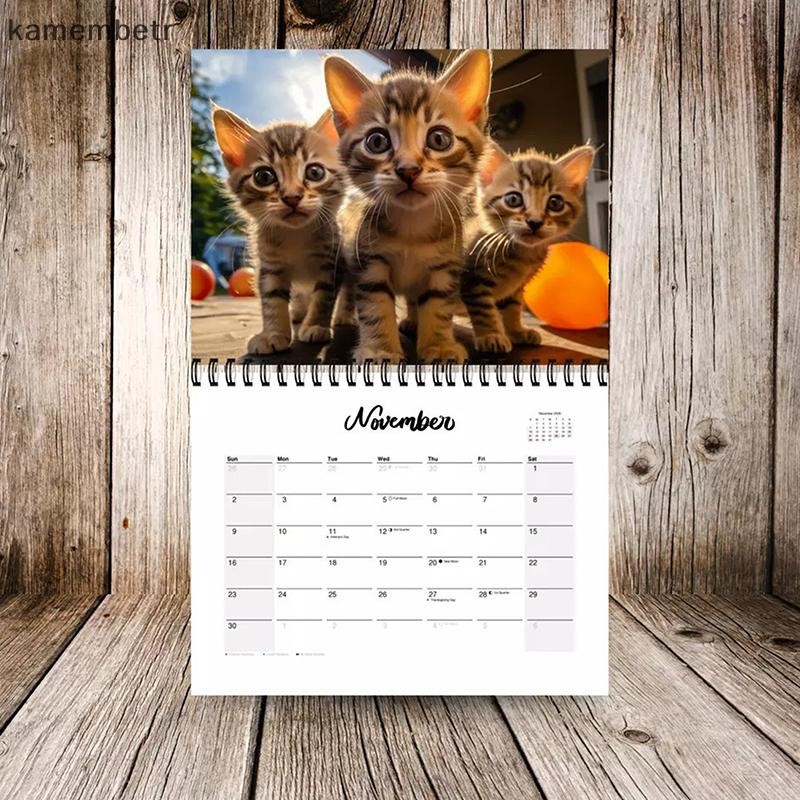 ka 2025 For Cat Lovers Funny Cat Calendar Cat Calendar Monthly Wall ...