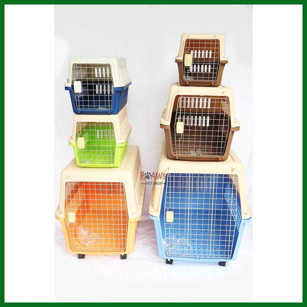 Airline-m:approved/y>pet)no>flight)Hm>cage)cS>with)fm>mat)iP>pet)FW ...