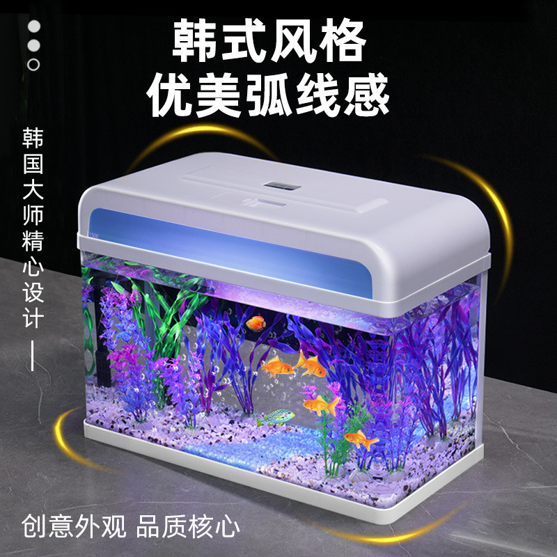 Simple Shape Goldfish Tank Filtered Oxygenated Glass Fish Tank ...