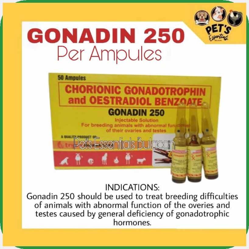Gonadin`sh{250^mg^(50^AF$Ampules^Zg$Per^Sr$Box)^Ye$SOLD^SS$Per^E$Piece ...