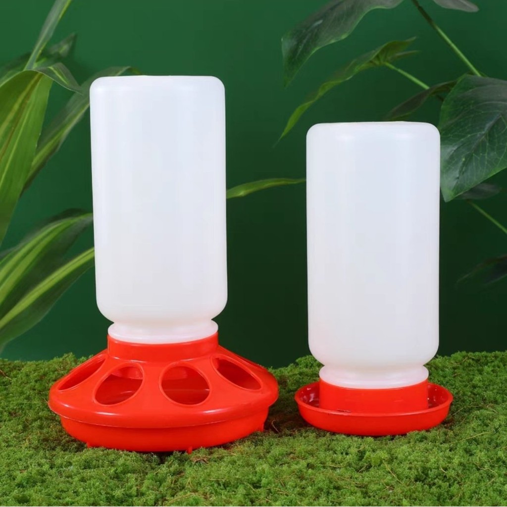 Rutin Chicken Feeder Rutin Chicken Water Bottle Chicken Feeder for ...