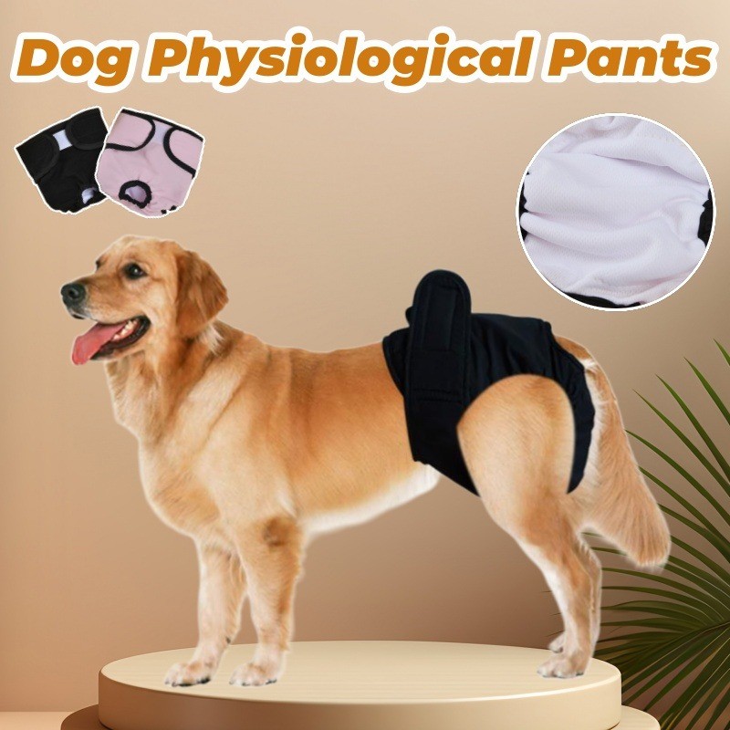 Male and Female Dog Physiological Pants Reusable Puppy Diapers ...
