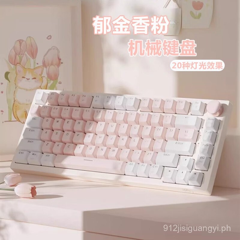 Mechanical Keyboard for Girls Pink Wired Keyboard Wireless Bluetooth ...
