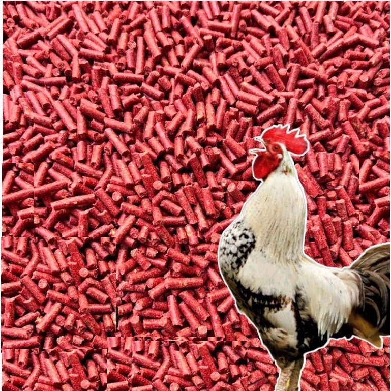 5KG Super Protein Bran Fighting Chicken Protein Bran Beef Blood Bran ...