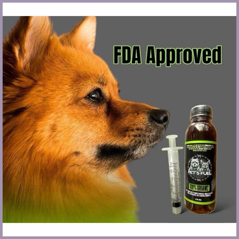 PETS%uz@FUEL!vg,uq+jA+ud+qy+hs+hl+VITAMINS for Dog, Rabbit & Cats 350ML ...