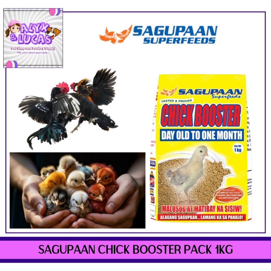 Sagupaan Chick Booster Pack 1kg | Shopee Philippines