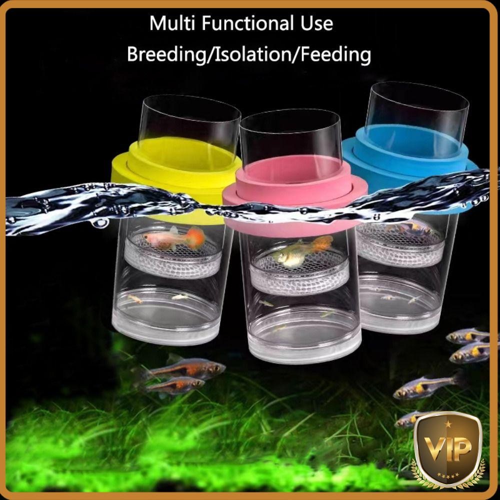 MUNDAN Floating Hatching Box, Aquarium Breeder Transparent Floating ...