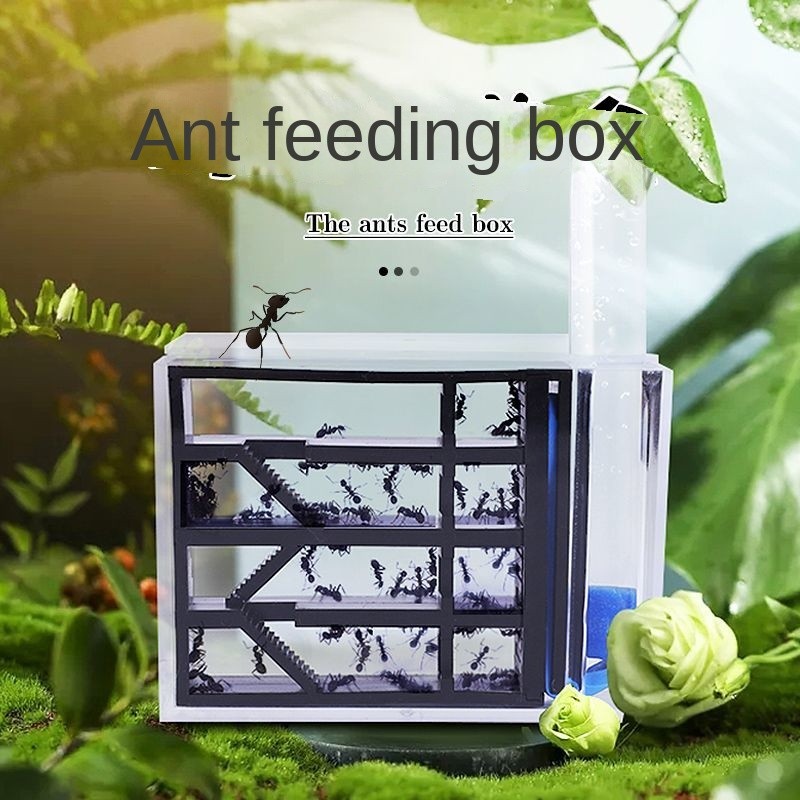 Spot goods ant nest ant house pet gate Ant Nest Ant Farming Observation ...