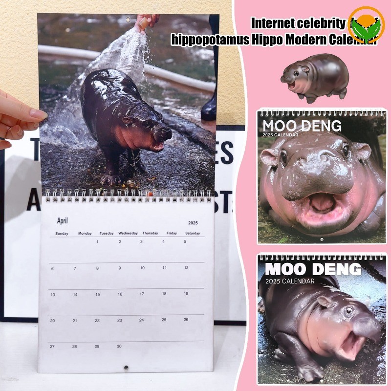 2025 Fun Cute Internet Celebrity Dwarf Hippopotamus Calendar- Modern ...