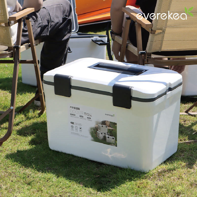 Outdoor Incubator Freezer Portable Mini Car Fridge Outdoor Stall Ice ...