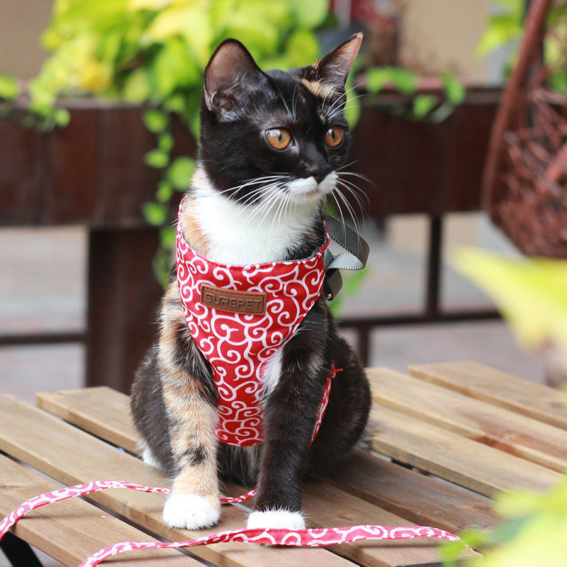 *Cat Leash Anti-Escape Vest-Style Cat Chain Outdoor Special Cat Walking ...