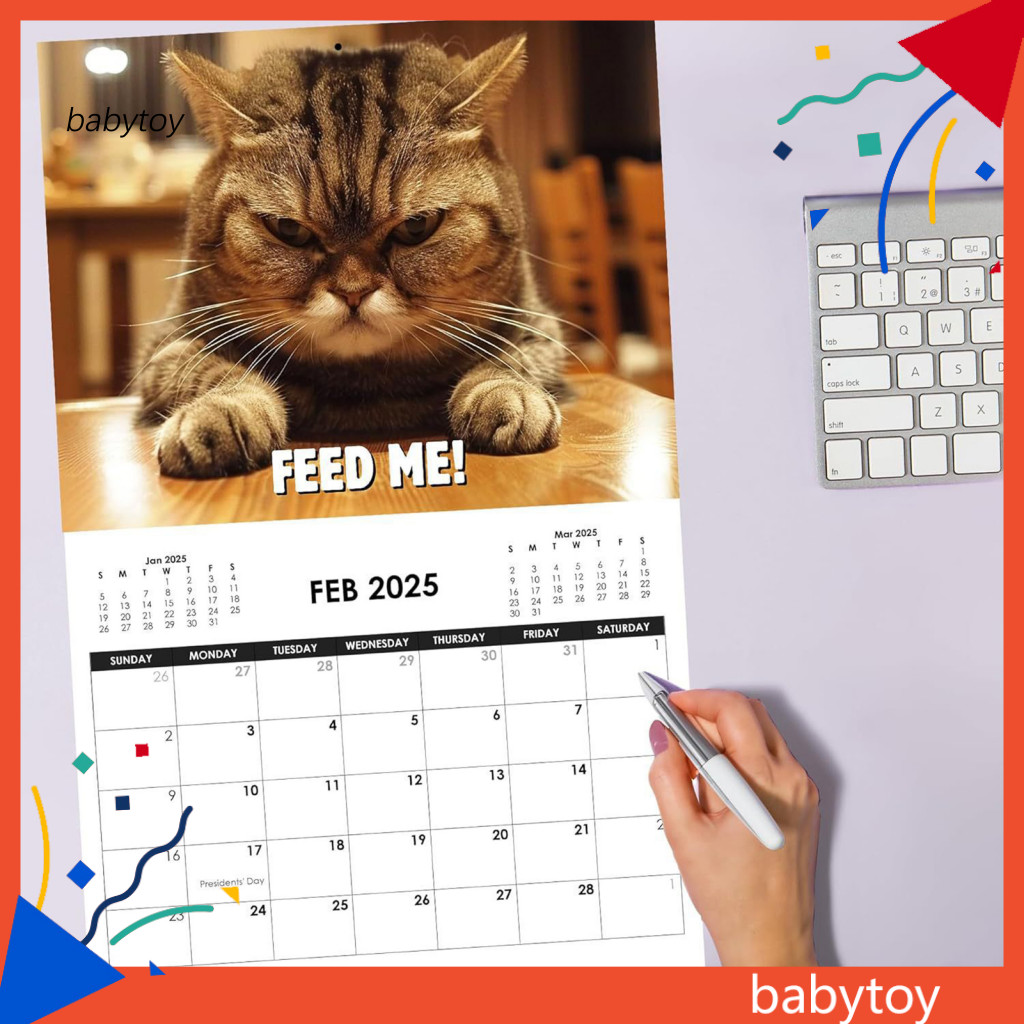 BABY Angry Cat Calendar 2025 Angry Cats 11x17 Calendar 2025 Funny Cat ...