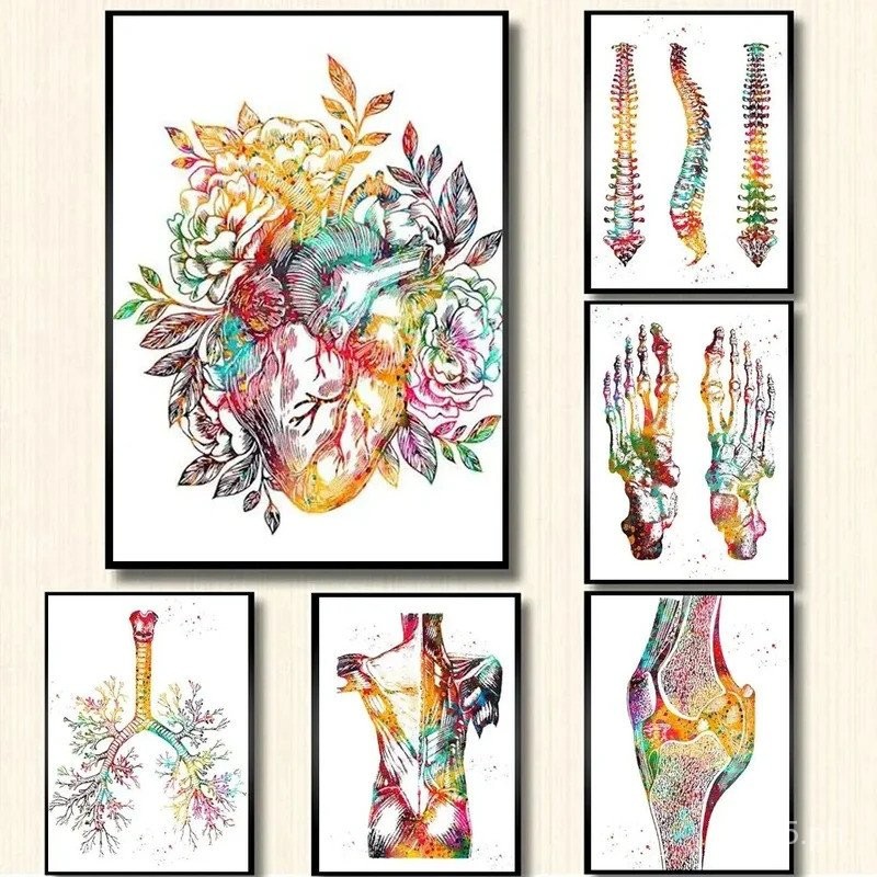 Human Anatomy Muscular System Wall Art Canvas Painting Medical ...