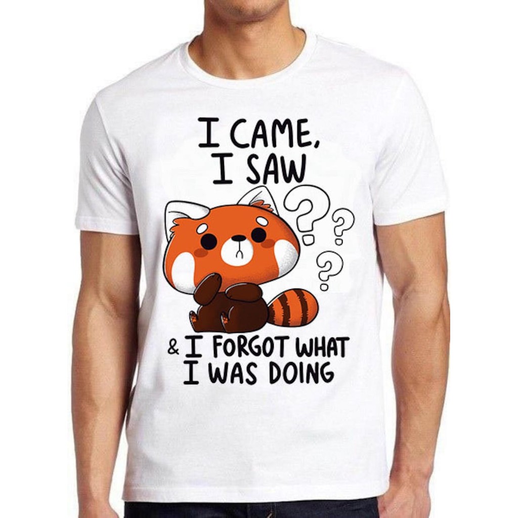 I Came I Saw I Forget What I Was Doing Forgetful Red Panda Hilarious ...