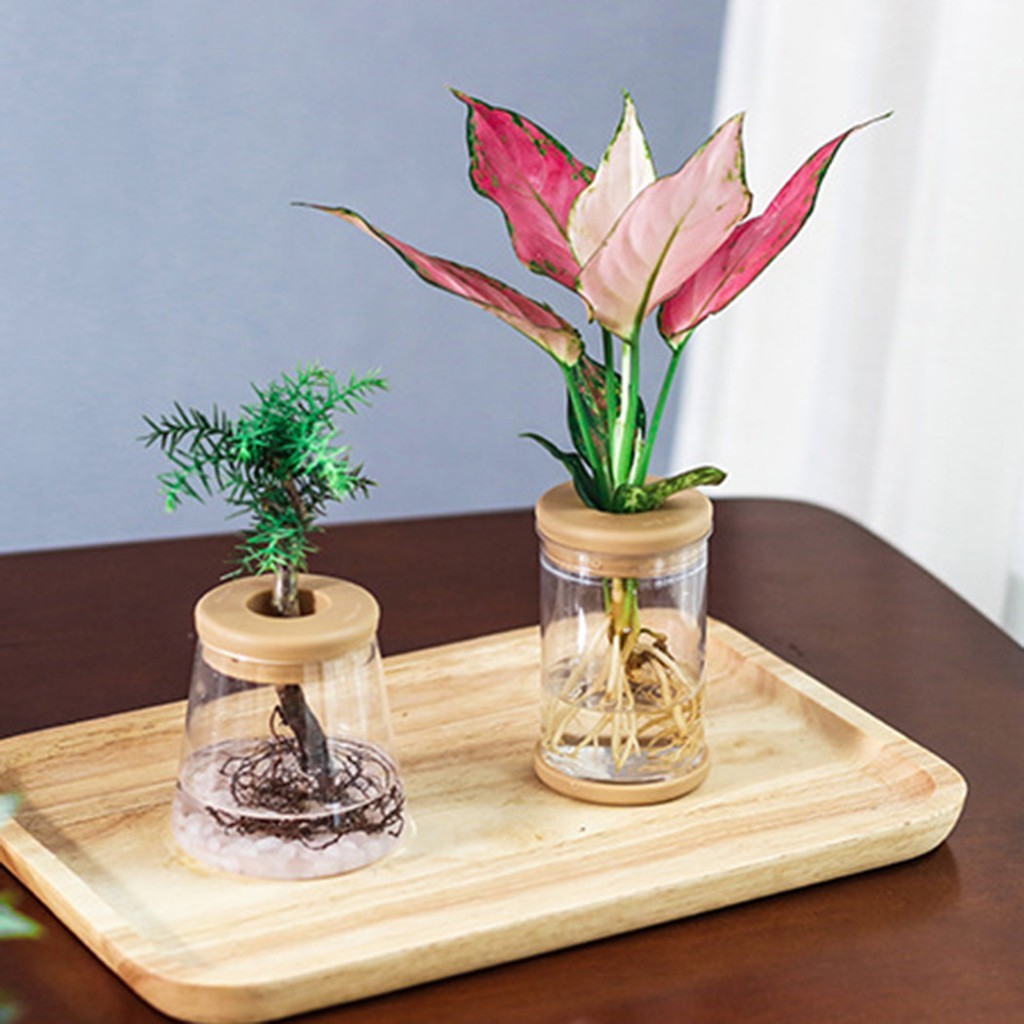 Nordic Minimalist Hydroponic Vase Automatic Water Absorption Plant Pot ...