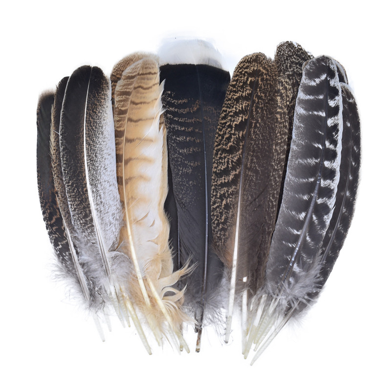 10Pcs/Lot Real Natural Eagle Feathers for Decoration Turkey Bird ...