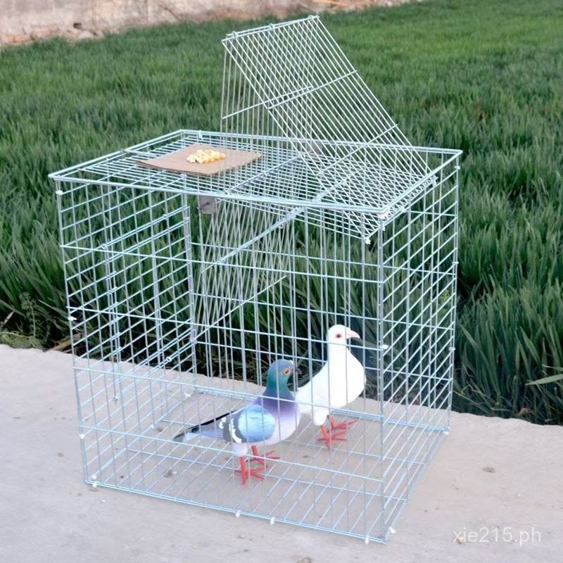 New Home Automatic Tianluo Cage Rotating Cage Flip Plate Cage Pigeon ...