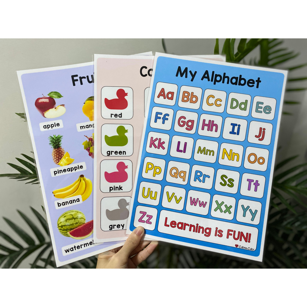 LAMINATED A4 EDUCATIONAL WALL CHART Alphabet chart ABC, counting ...