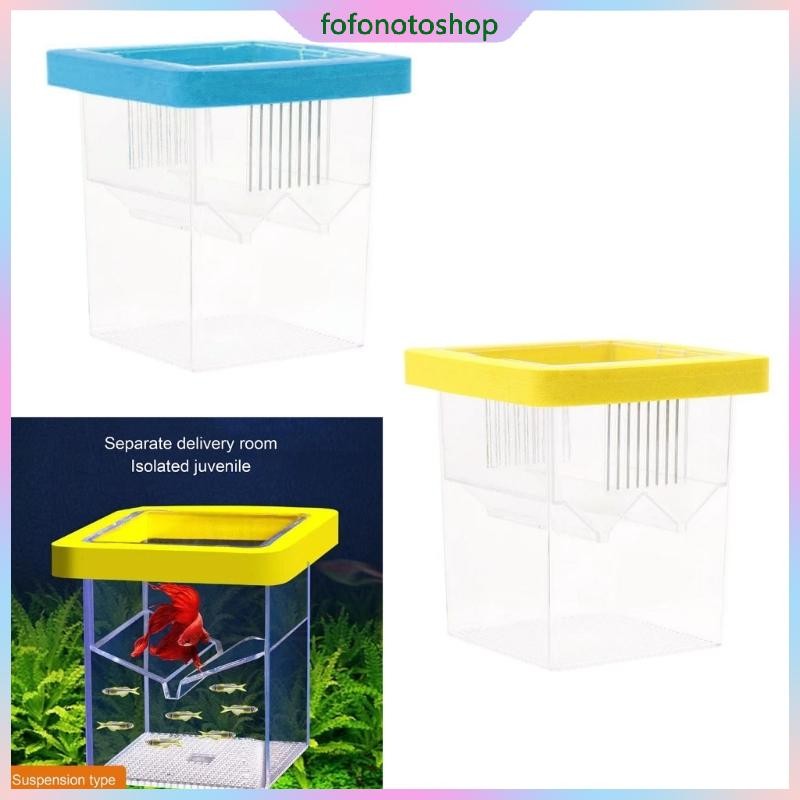 Fofo Breeding Tanks for Aquarium Small Fish Isolation Box Hatchery Box ...